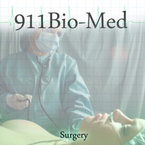 Prepping Erin – digital02.com